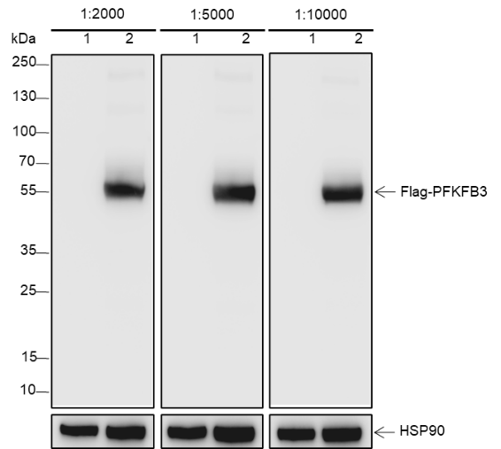 PTM BIO