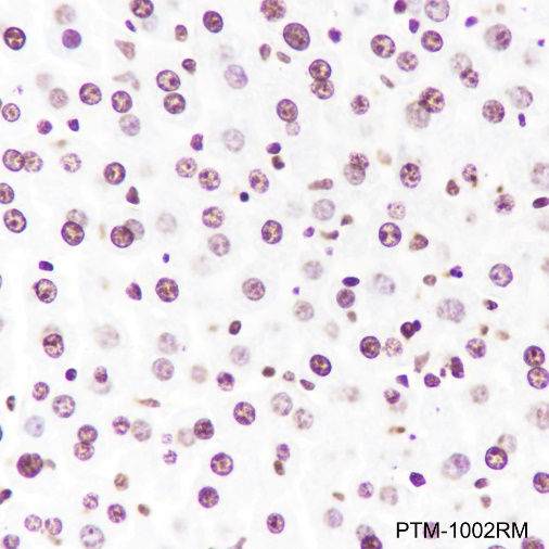 PTM BIO