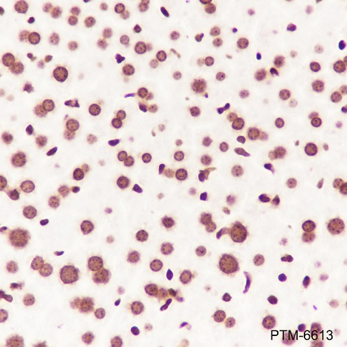 PTM BIO