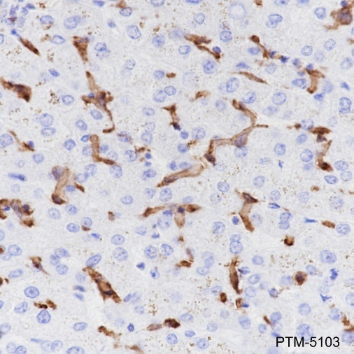 PTM BIO