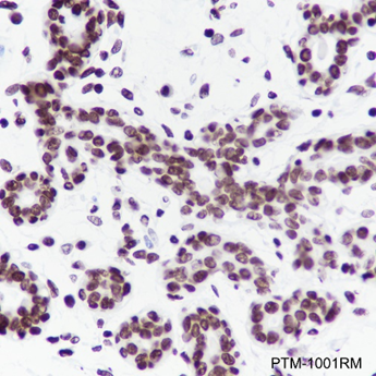 PTM BIO