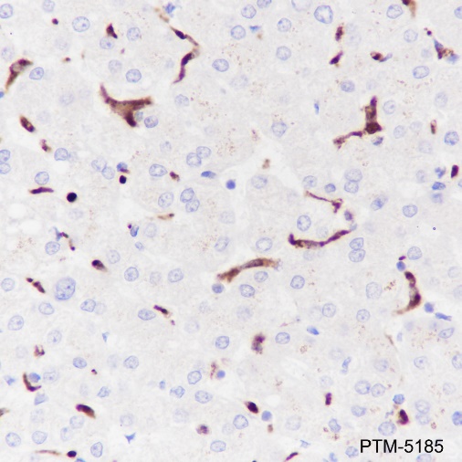 PTM BIO